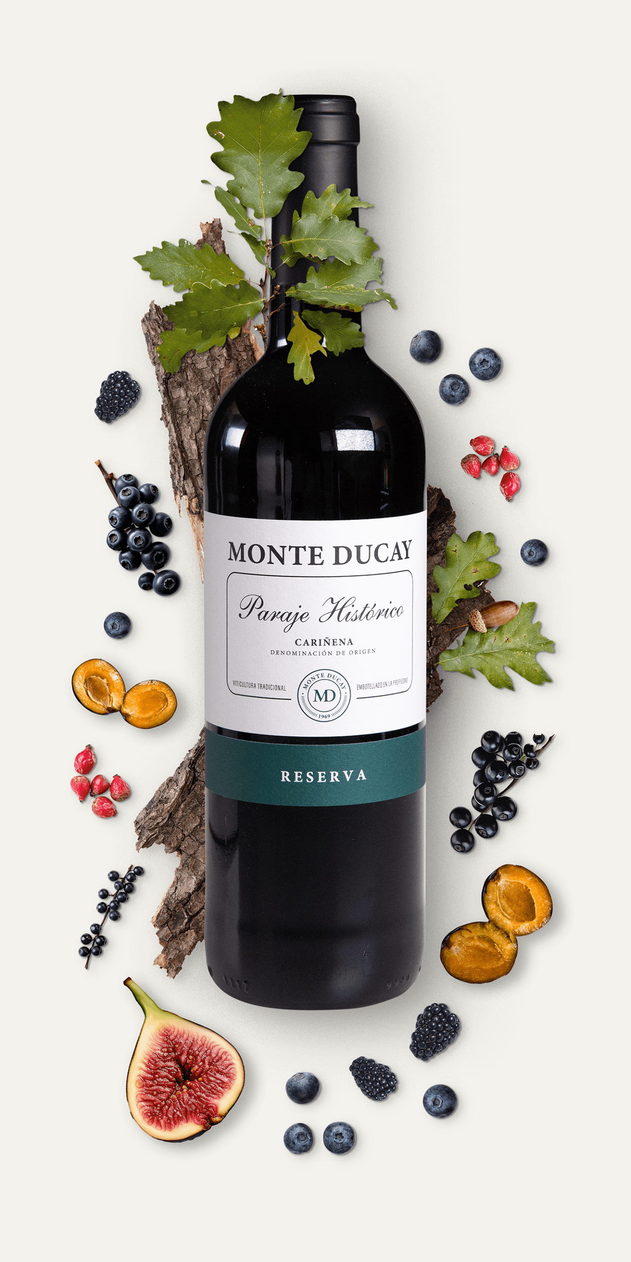 Monte Ducay Reserva - Charaktervoller Rotwein bei CorkRebels